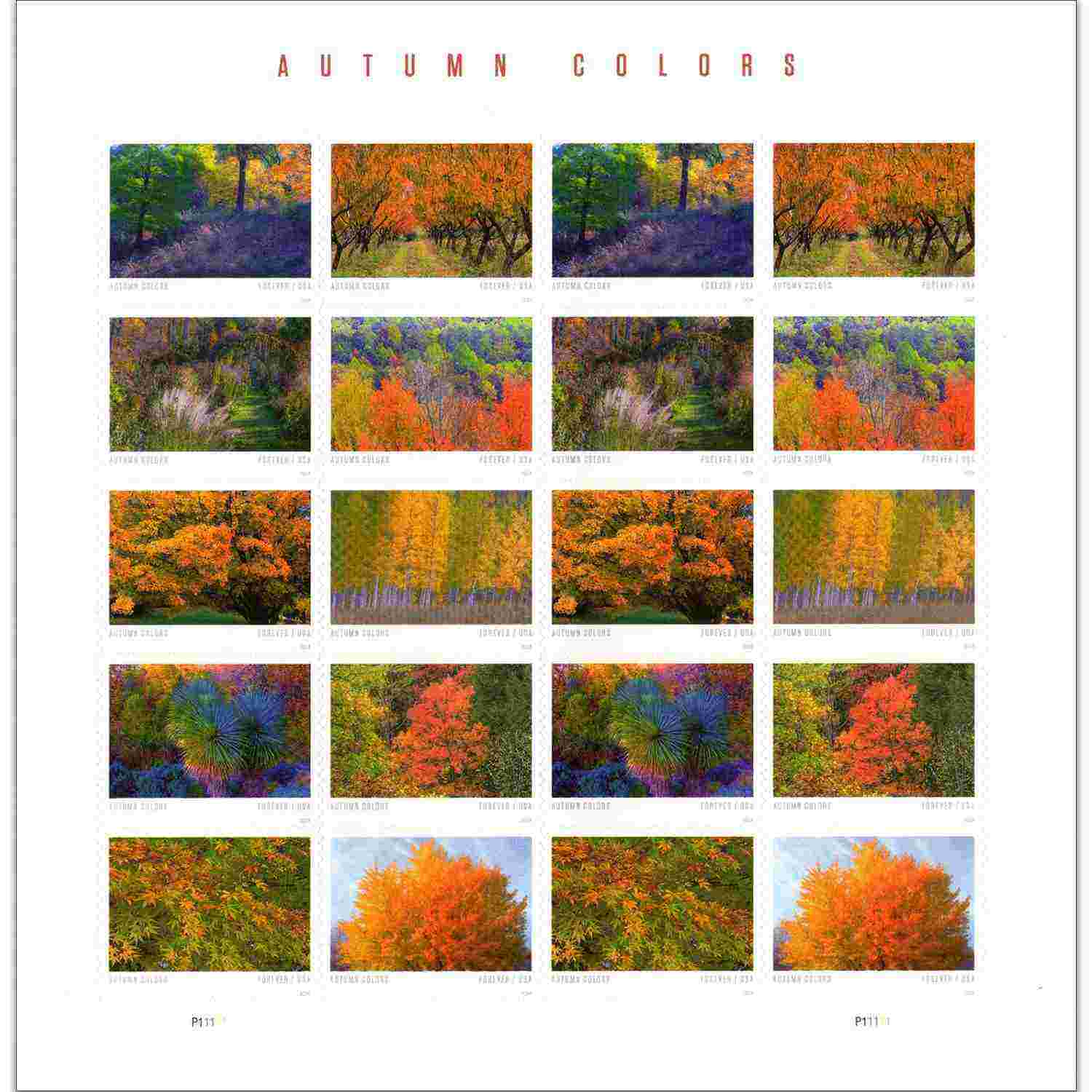 Autumn Colors - USPOSTSTORE